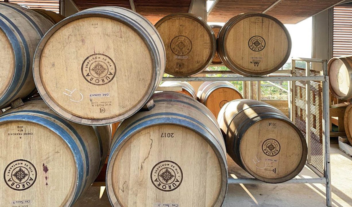 Aurora Winery › Go Batroun