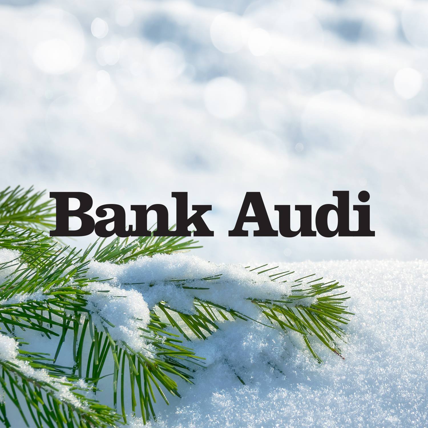 Bank Audi › Go Batroun