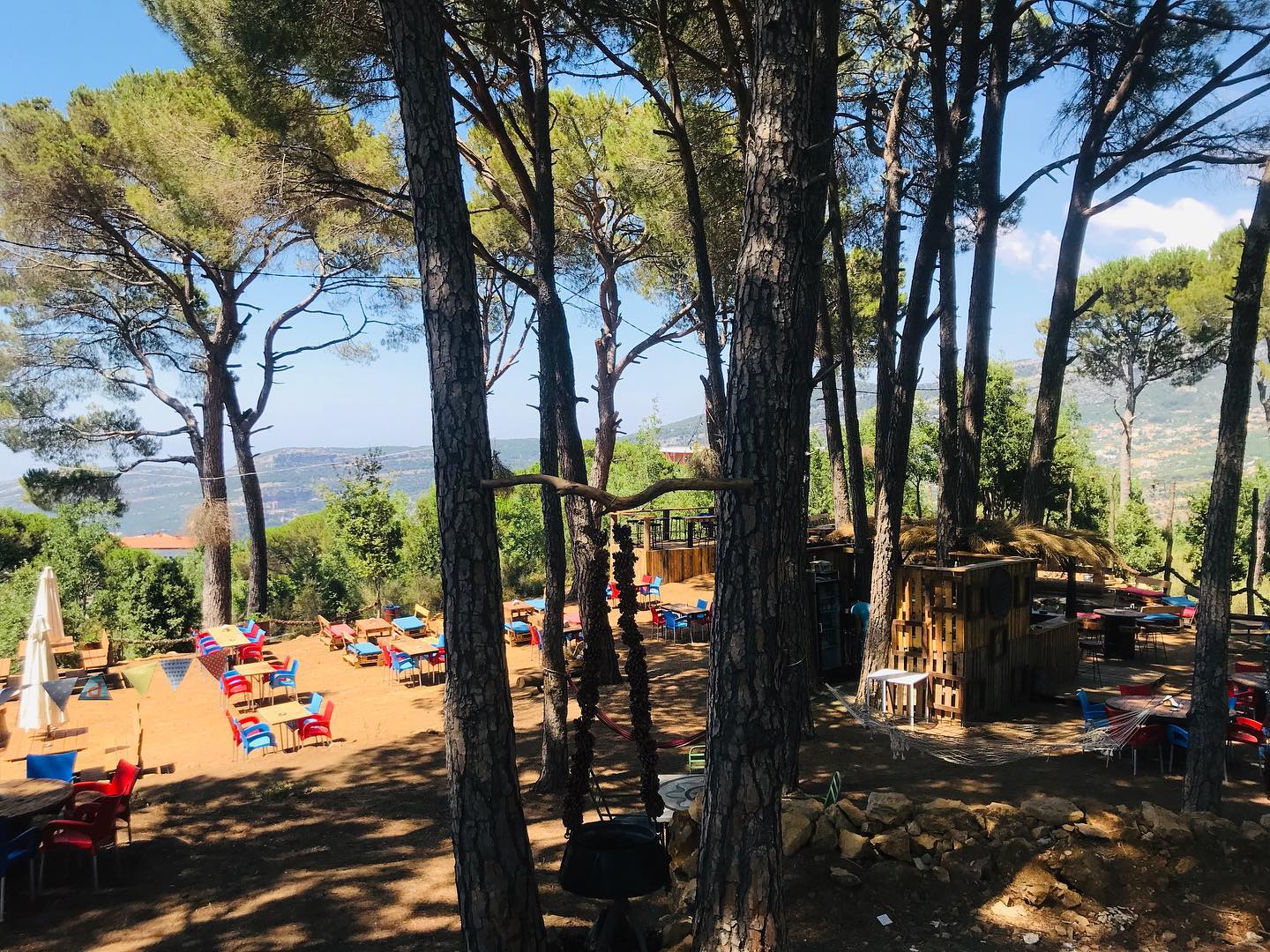 Pine Straw Douma › Go Batroun