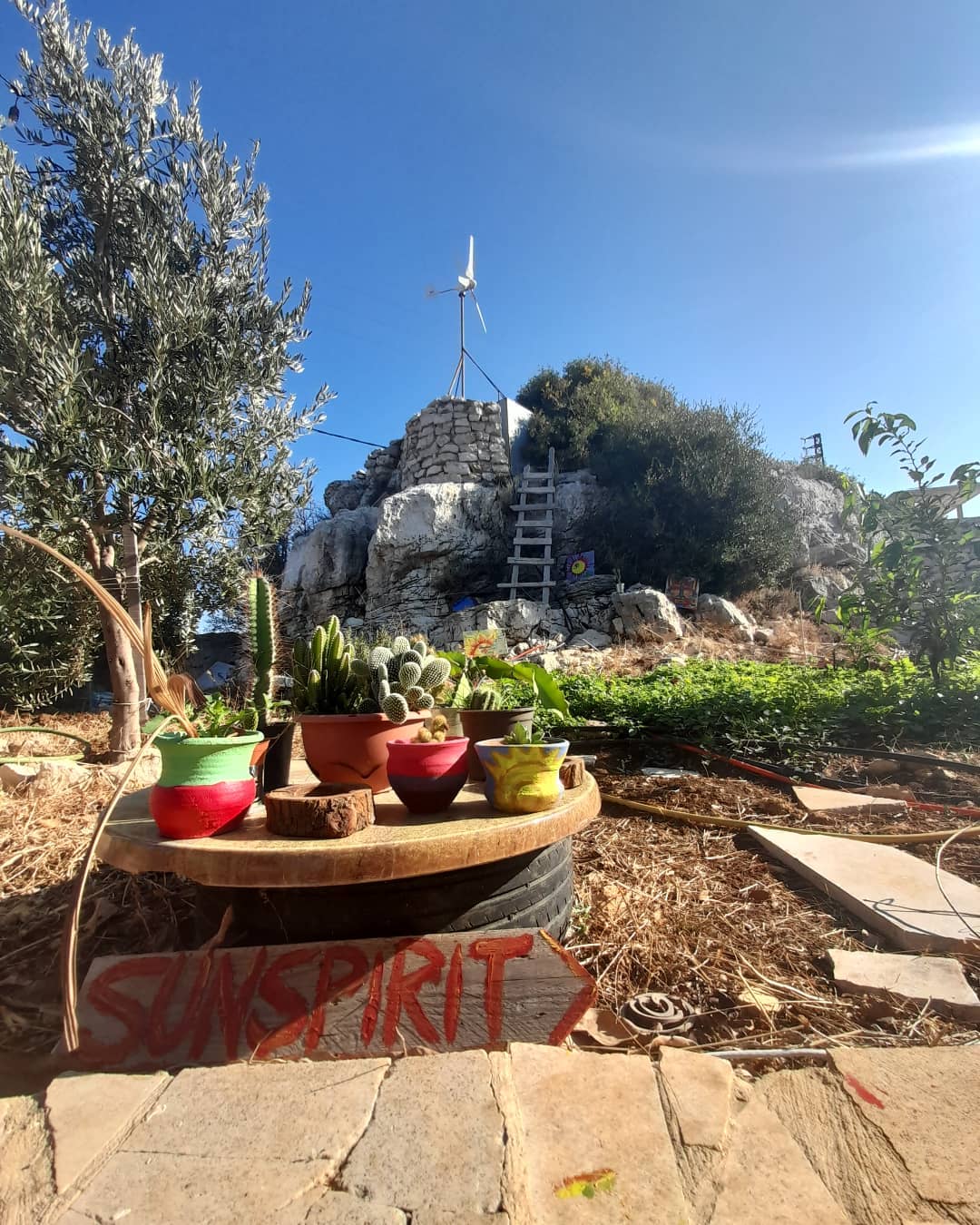 Sun Spirit Guesthouse › Go Batroun