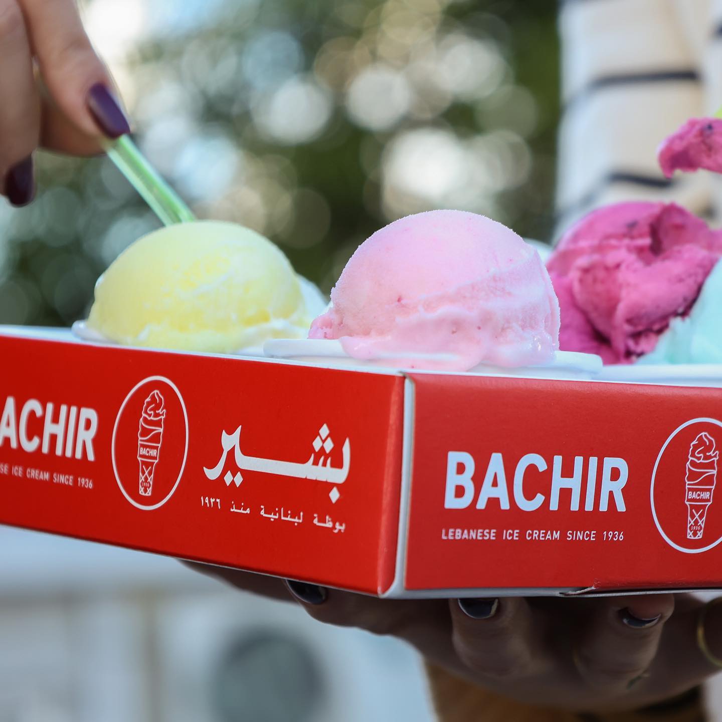 Bachir Ice Cream › Go Batroun