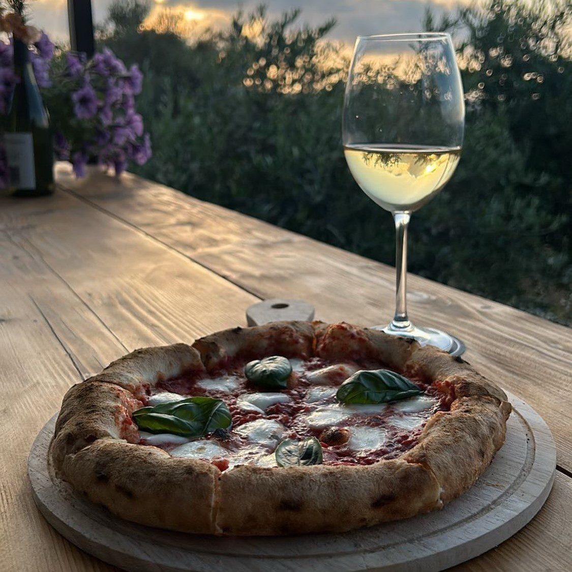 Aurora Garden by Fyrd › Go Batroun