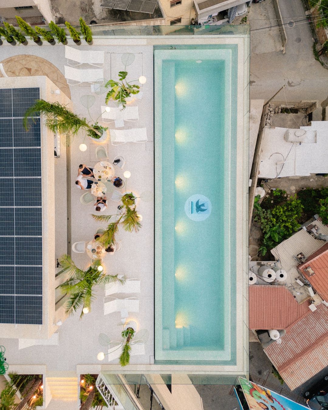 Bird Haus › Go Batroun